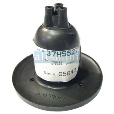 Borracha do Pisca da Frente